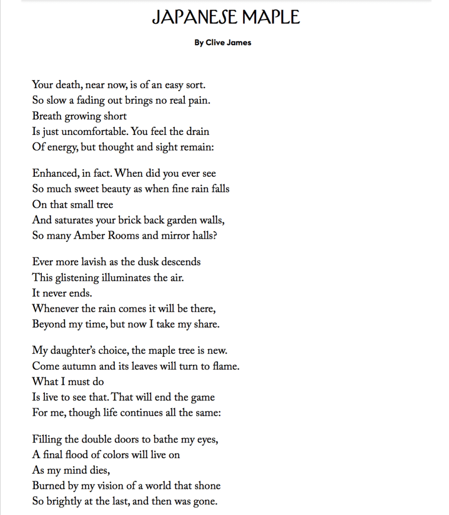Blokewriter – Hard Truths and Occasional Wisdom